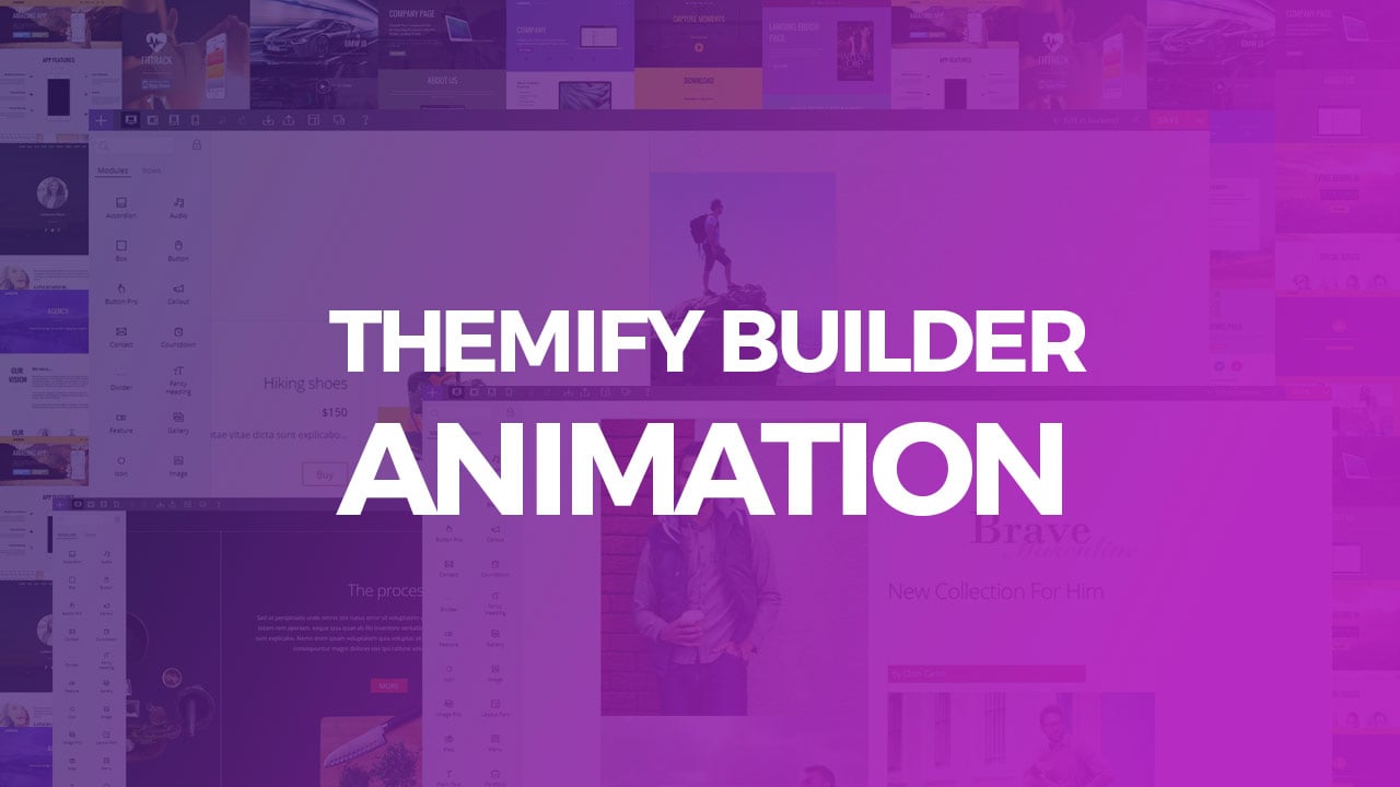 Learn How To Add Animation with the Themify Builder